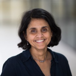 Anandi Mani | CENTRE FOR THE STUDY OF AFRICAN ECONOMIES